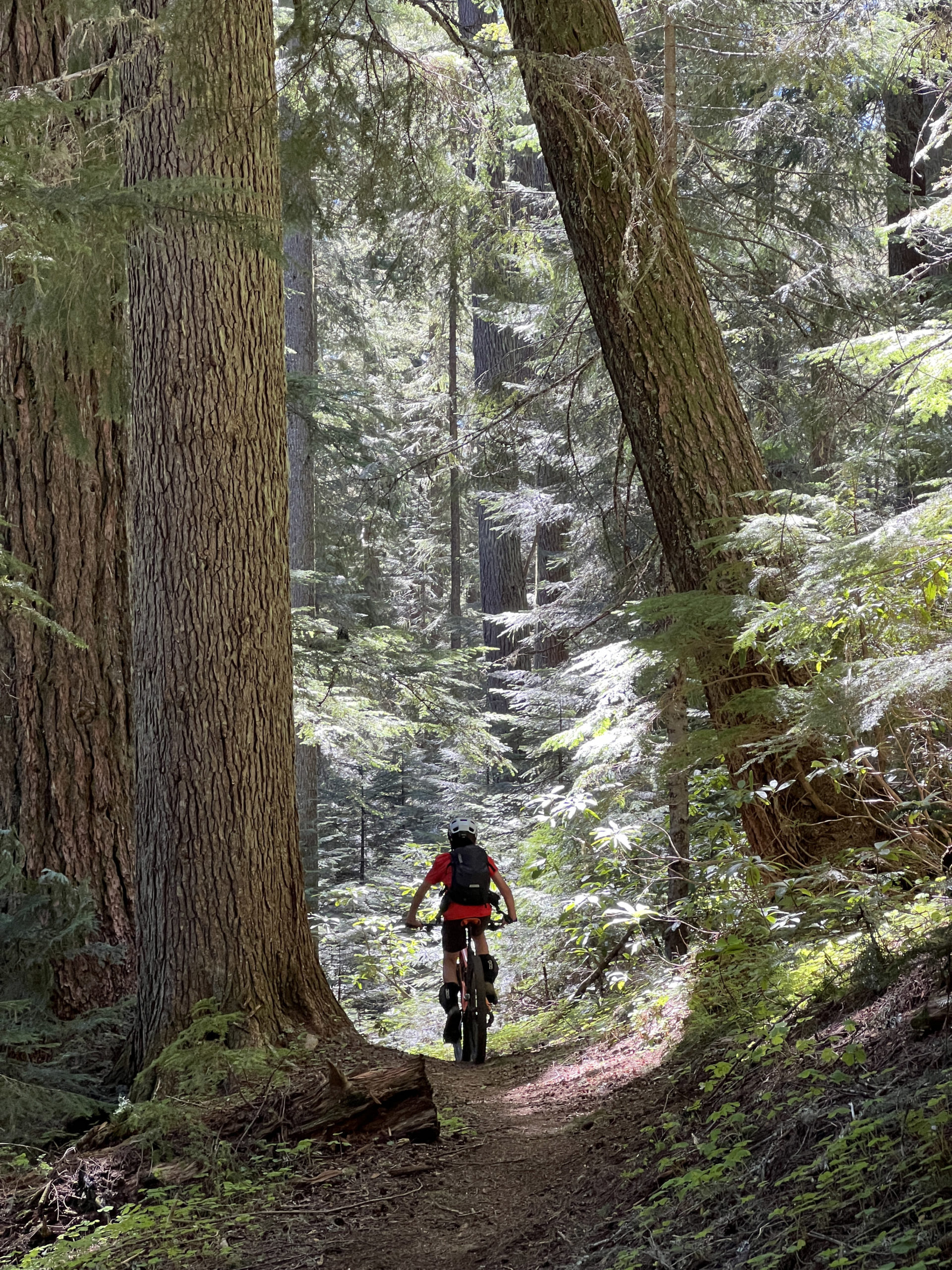 The Porters Take On The PNW | Diamondback Bikes